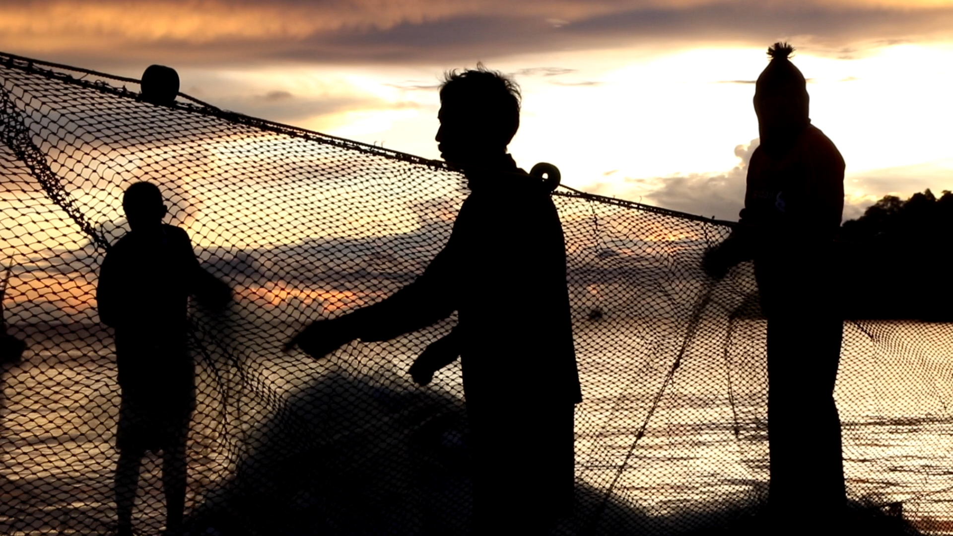 A Sustainable Catch - Real Food Media