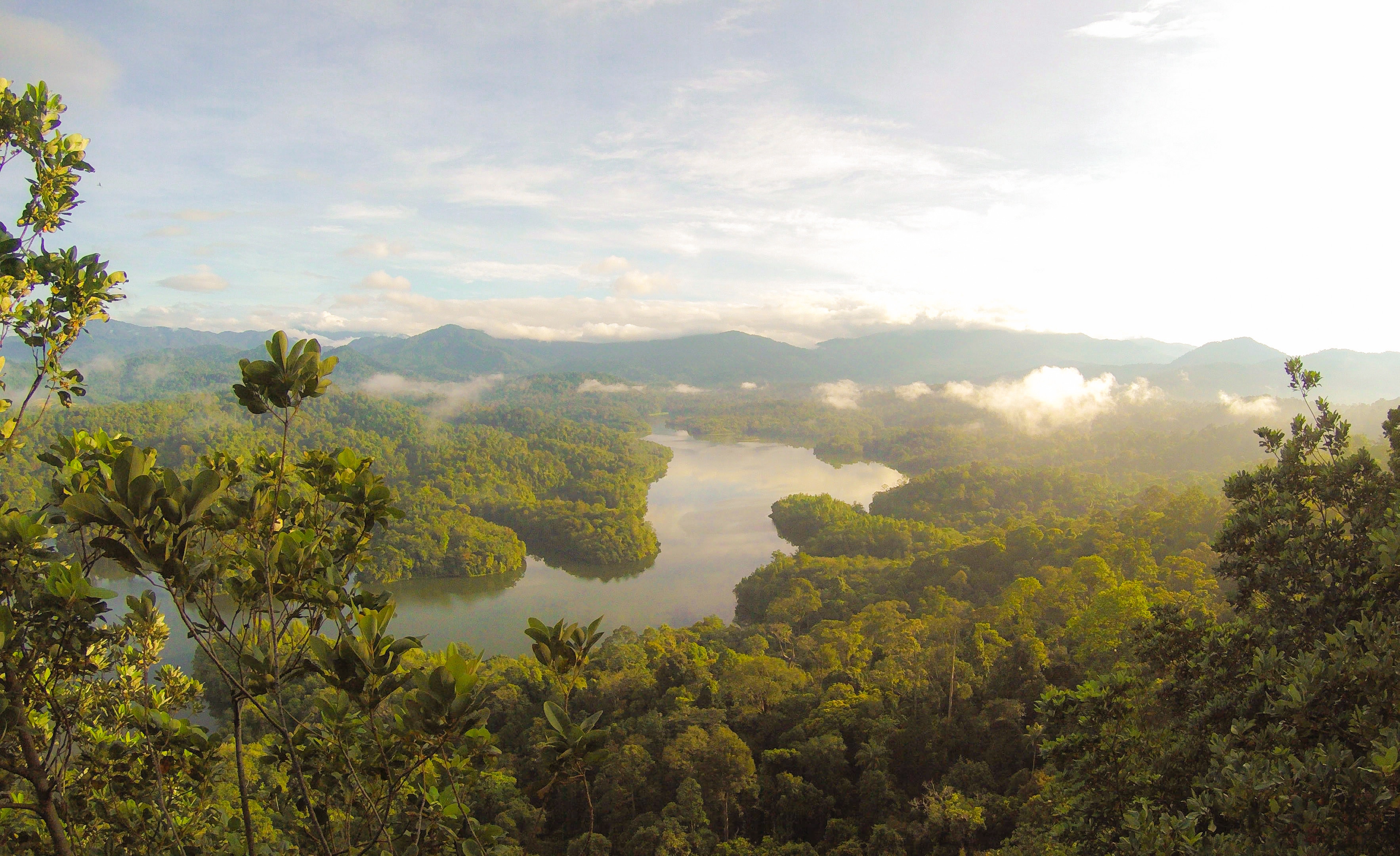 REVEL 2018 with Rainforest Action Network - Real Food Media